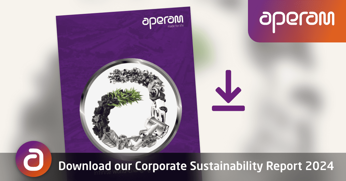 Sustainability Report 2024 - aperam