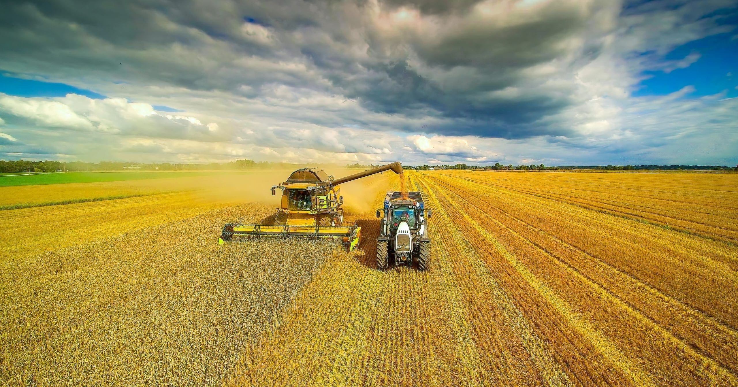 Harvest blades and grazer blades - aperam